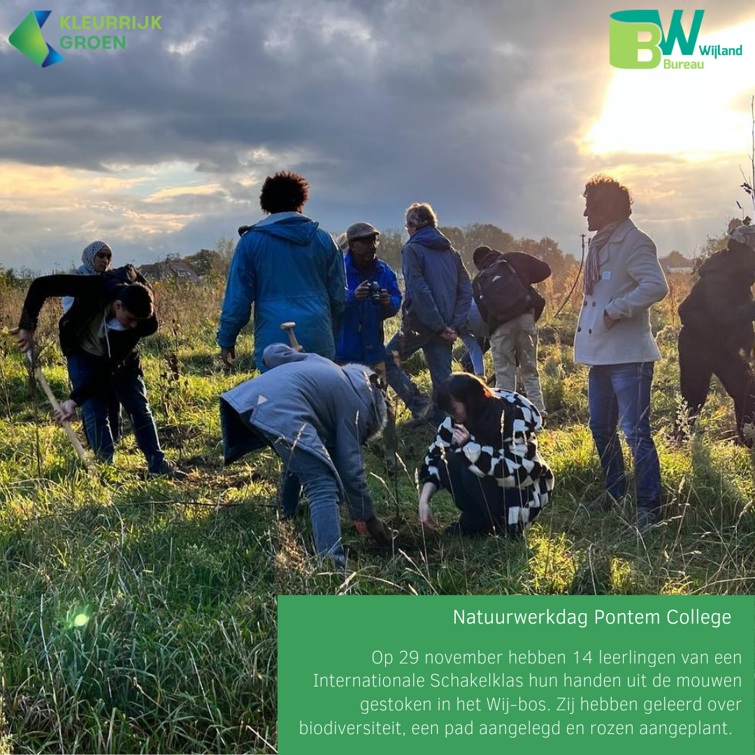 Natuurwerkdag Pontem College in Wij-bos – Bureau Wijland